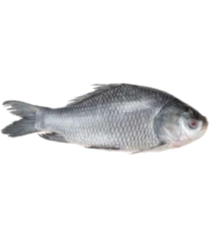 Fish – Mela Halal